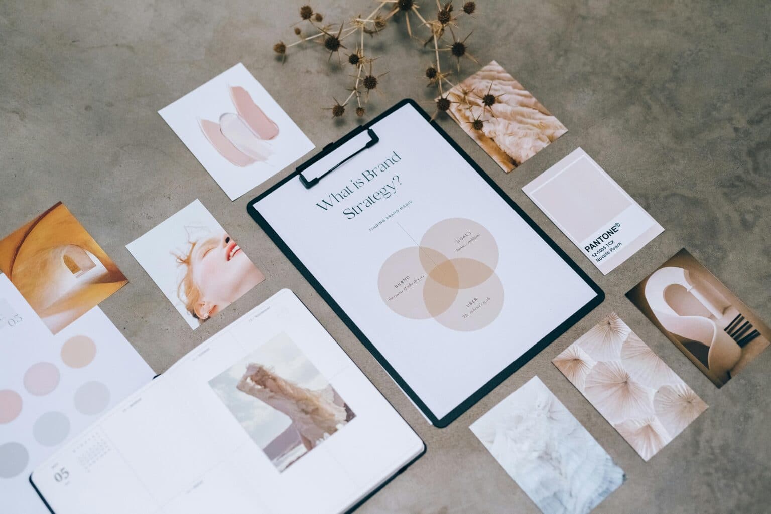 Agence Branding : Comment renforcer votre marque ? | les causantes